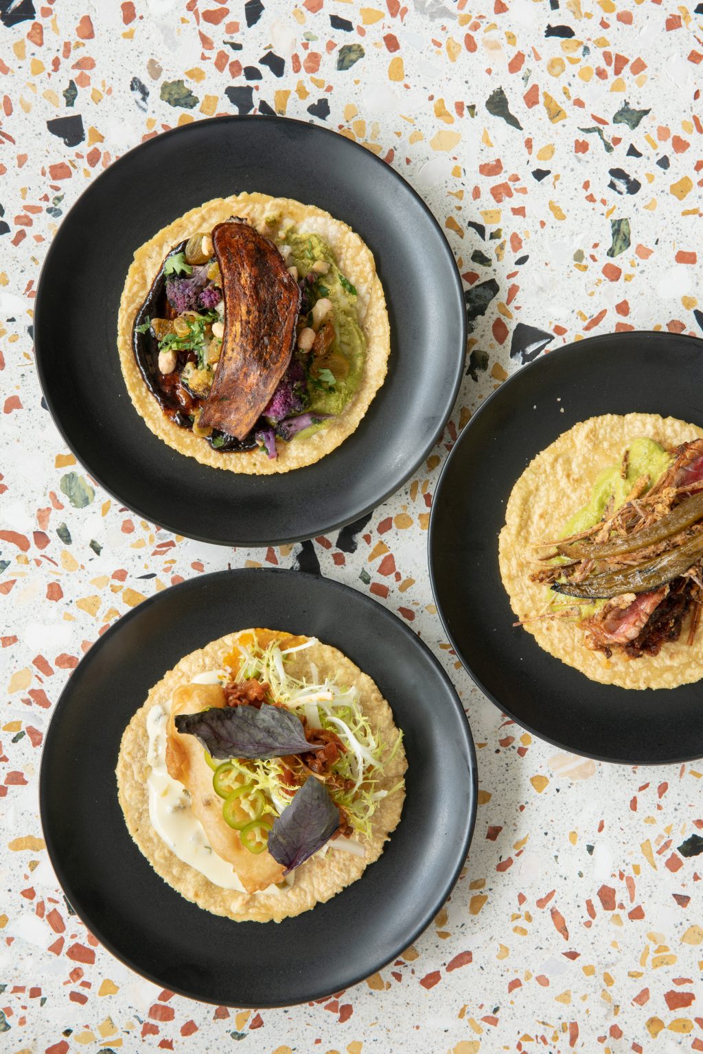 Lola 55 – San Diego, Ca